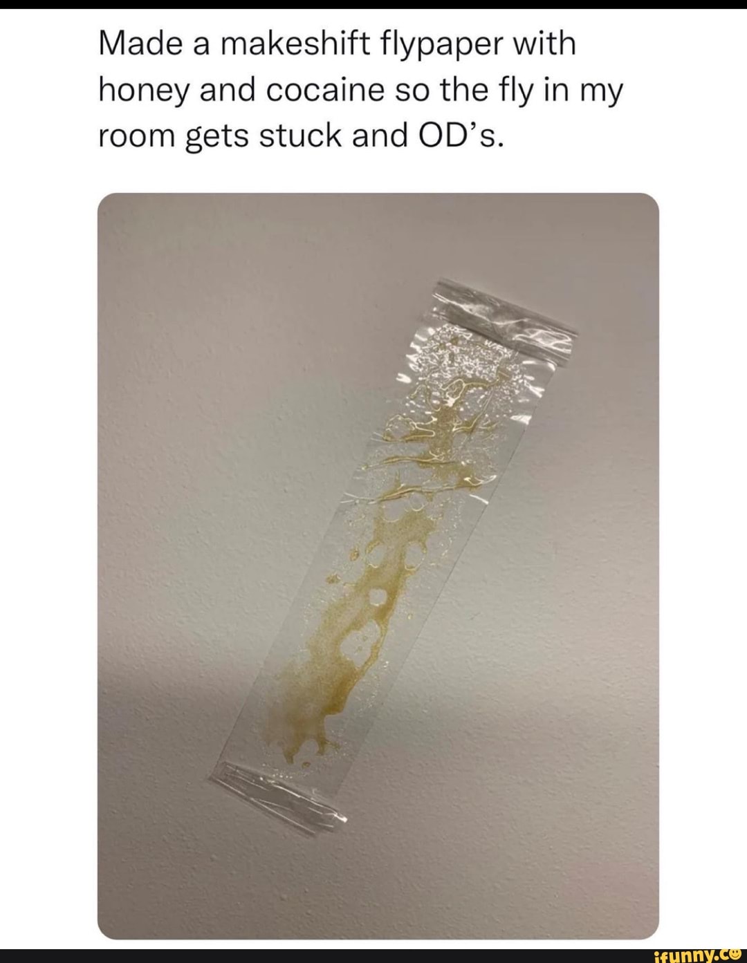 Flypaper memes. Best Collection of funny Flypaper pictures on iFunny