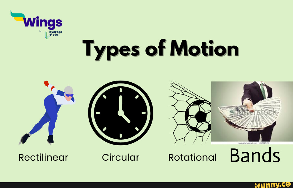 Wings Types of Motion Rectilinear Circular Rotational Bands - iFunny