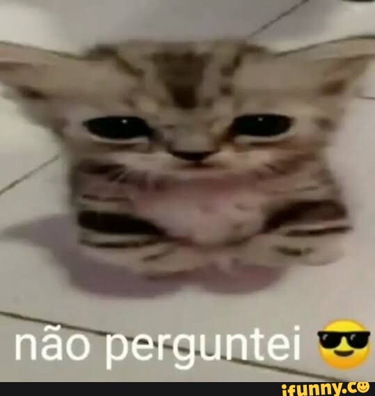 Não perguntei - iFunny Brazil
