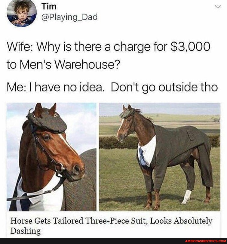 What a Stallion #memes #memesdaily #memesviral #offensivememes #comedy ...