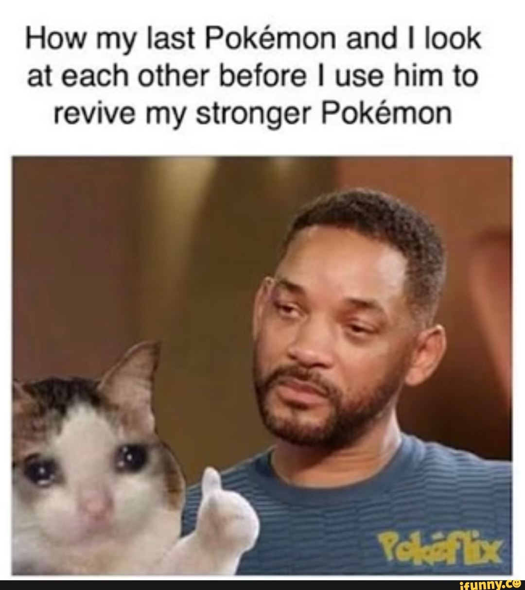 How my last Pokemon and I look at each other before I use him to revive ...