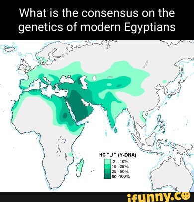 Consensus memes. Best Collection of funny Consensus pictures on iFunny