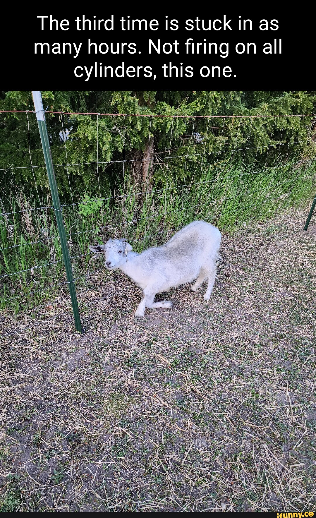 Cylinders memes. Best Collection of funny Cylinders pictures on iFunny