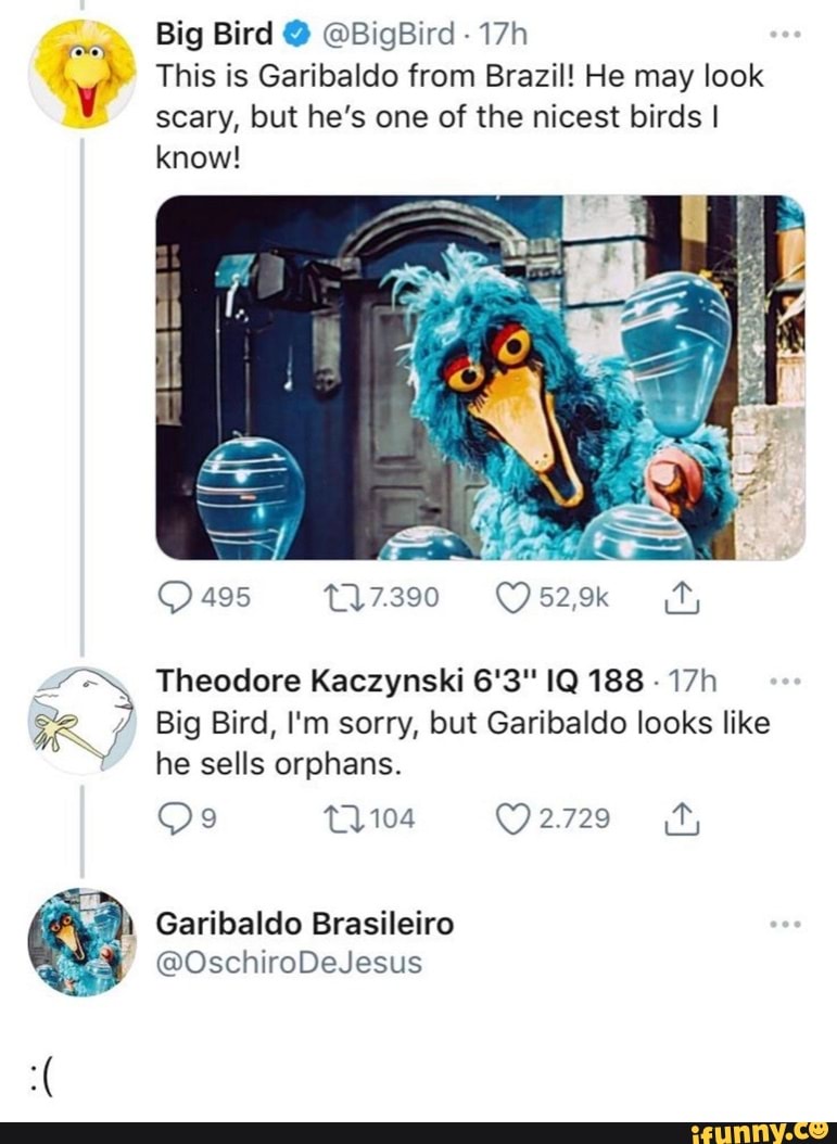 Big Bird @ @BigBird - This is Garibaldo from Brazil! He may look scary ...