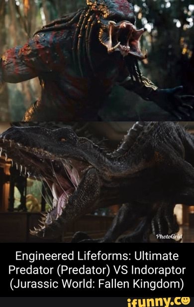 Indoraptor memes. Best Collection of funny Indoraptor pictures on iFunny