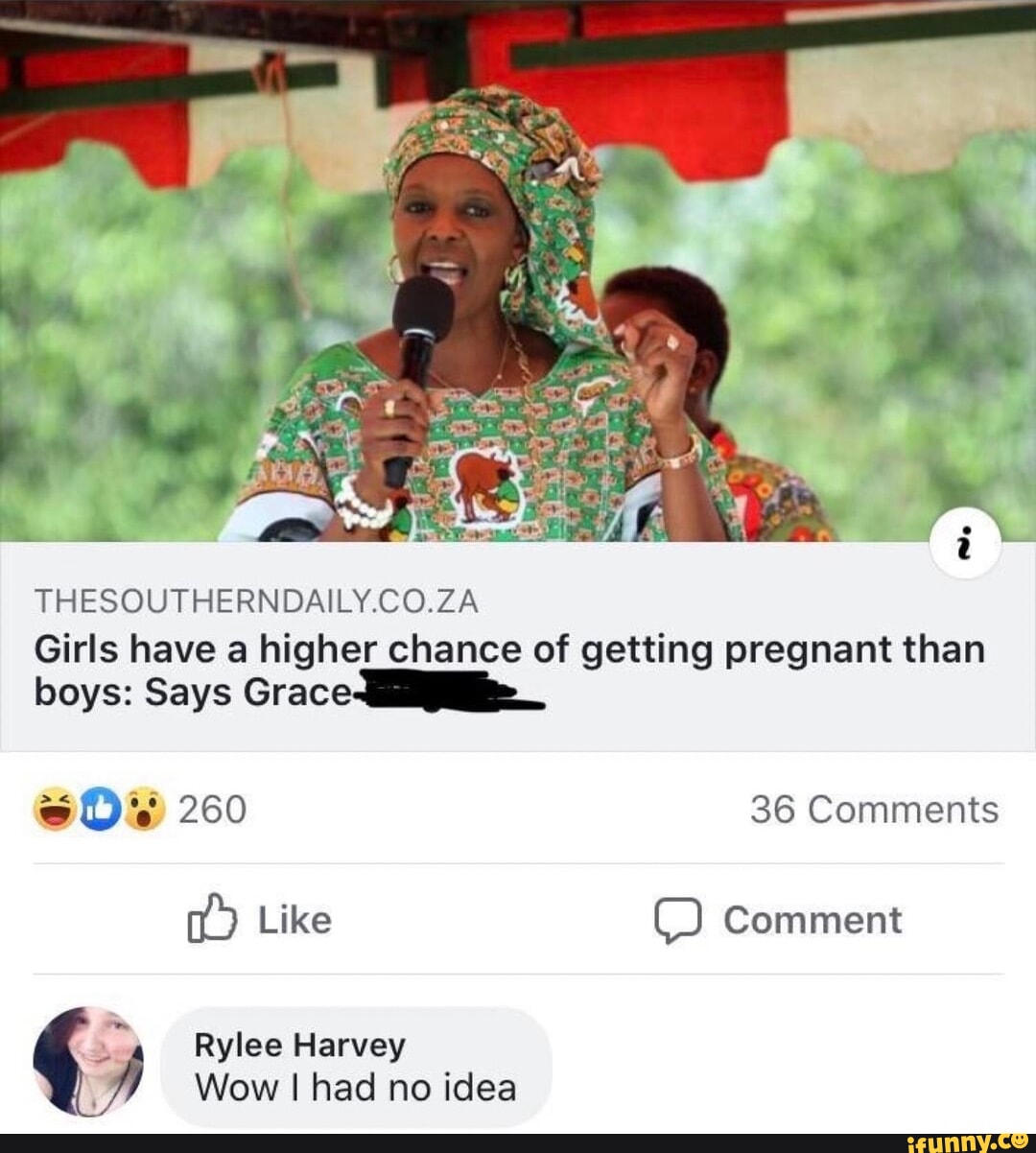 Jonathan Kennedy Warrior cats Infected: scourge, blue star, raven paw ...