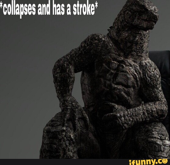 Round pupils Animals like dogs, wolves and big cats have round pupils ...