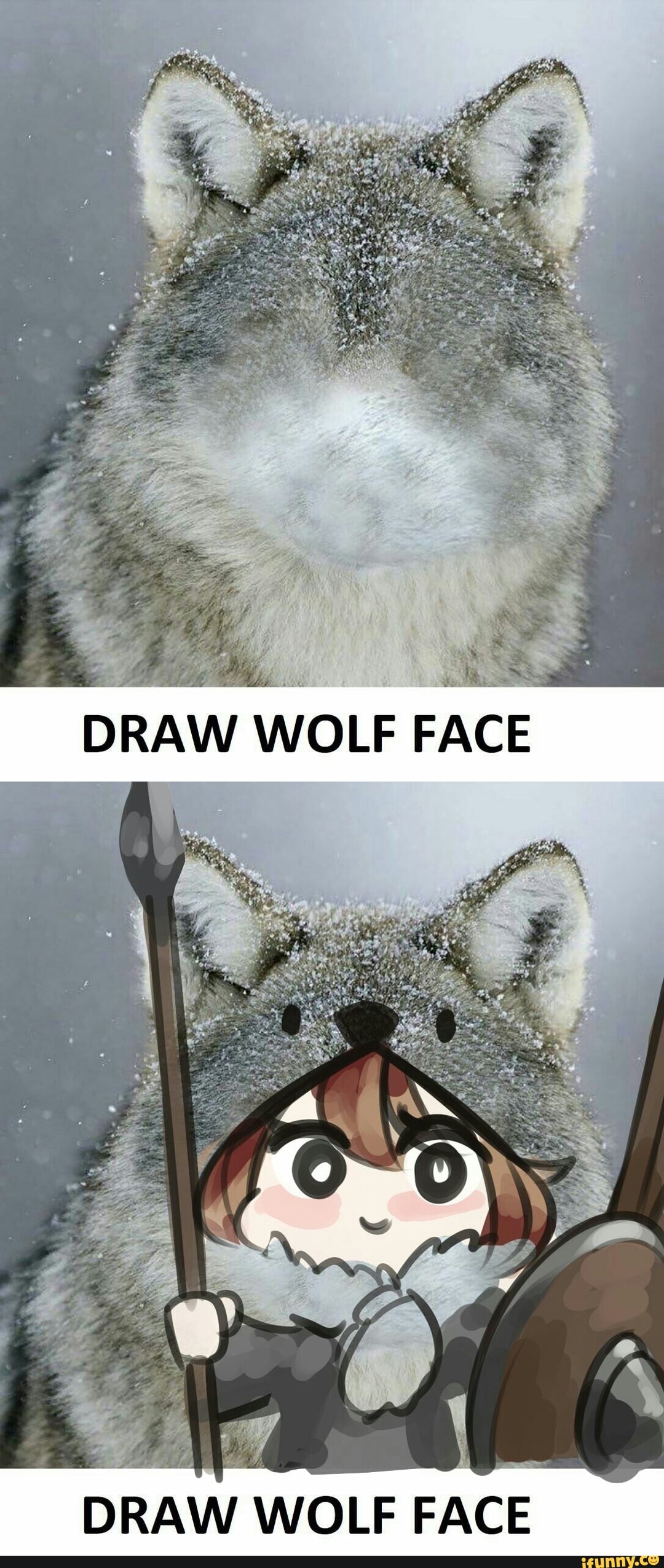 DRAW WOLF FACE DRAW WOLF FACE - iFunny