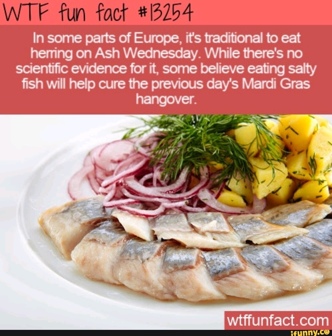 Herring memes. Best Collection of funny Herring pictures on iFunny