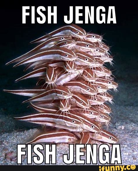 FISH JENGA FISH JENGA- - iFunny