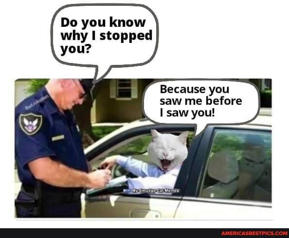 Do you know why I stopped you? Because you saw me before I saw you ...