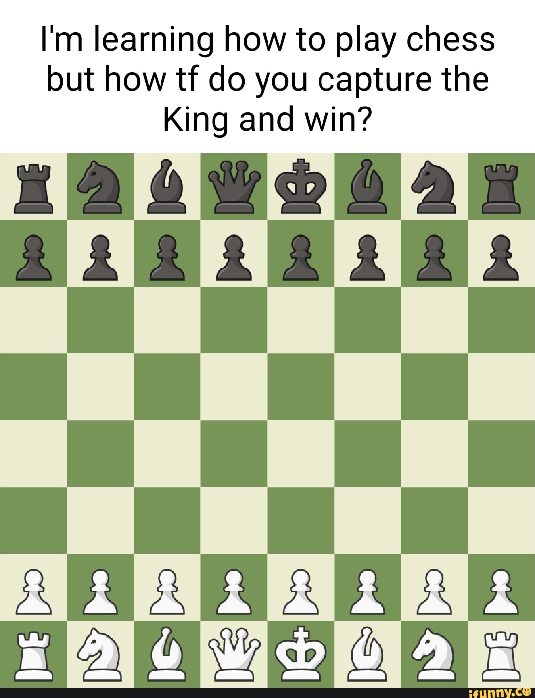 I'm learning how to play chess but how tf do you capture the King and ...