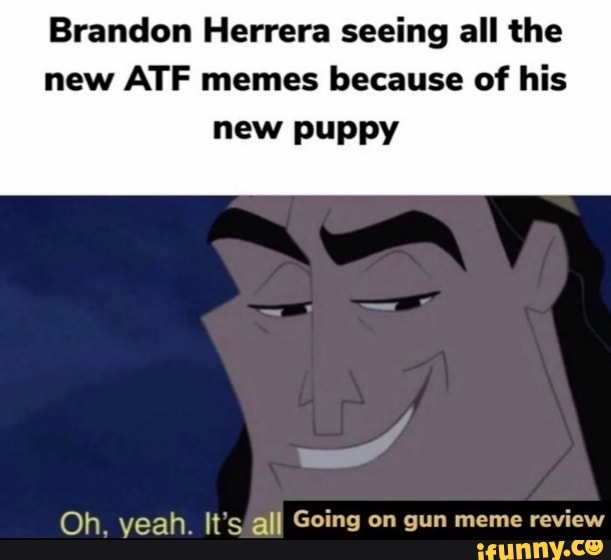 Brandon Herrera seeing all the new ATF memes because of his new puppy ...