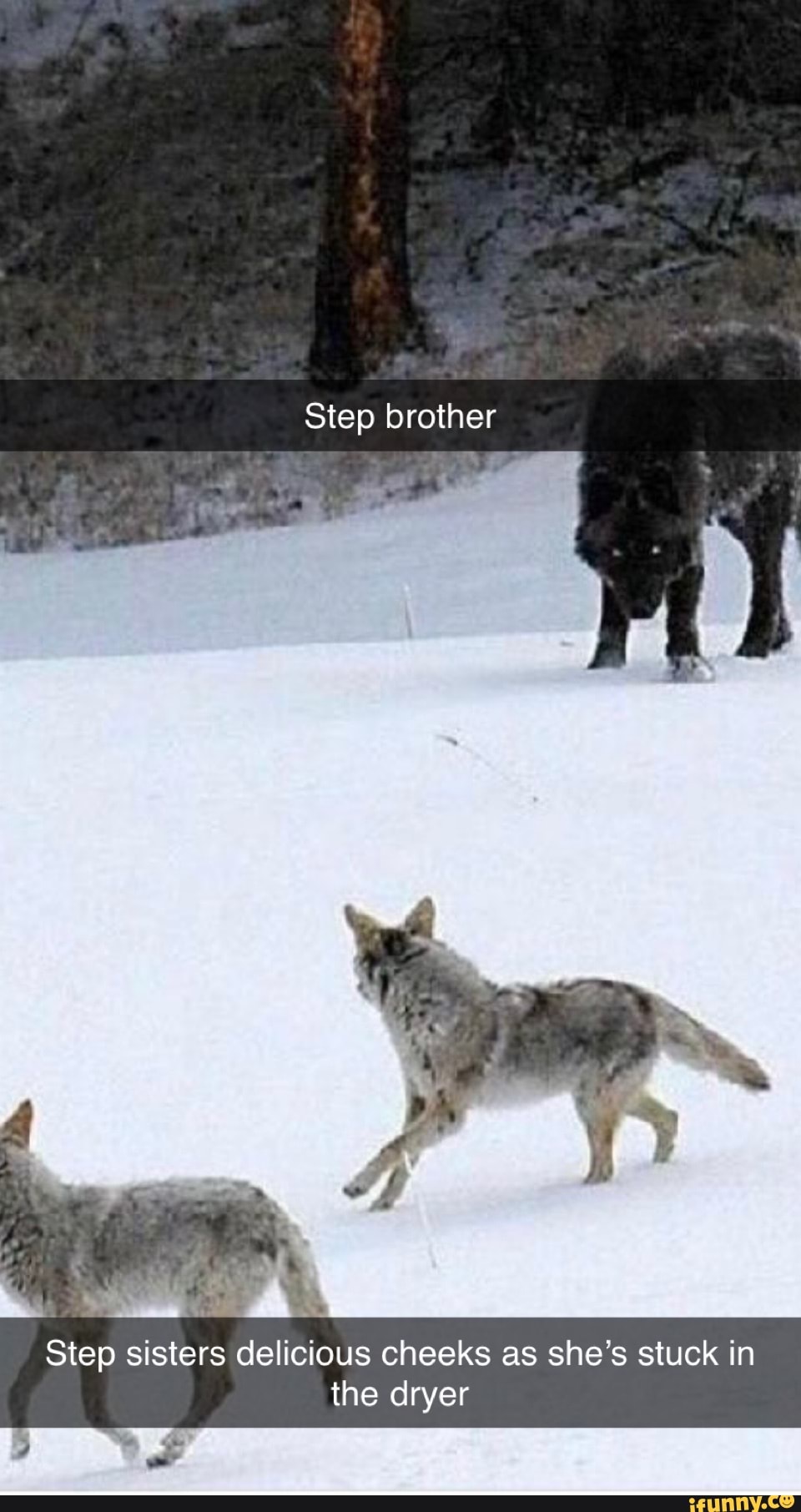 Step brother Step sisters delicious cheeks as she's stuck in the dryer ...
