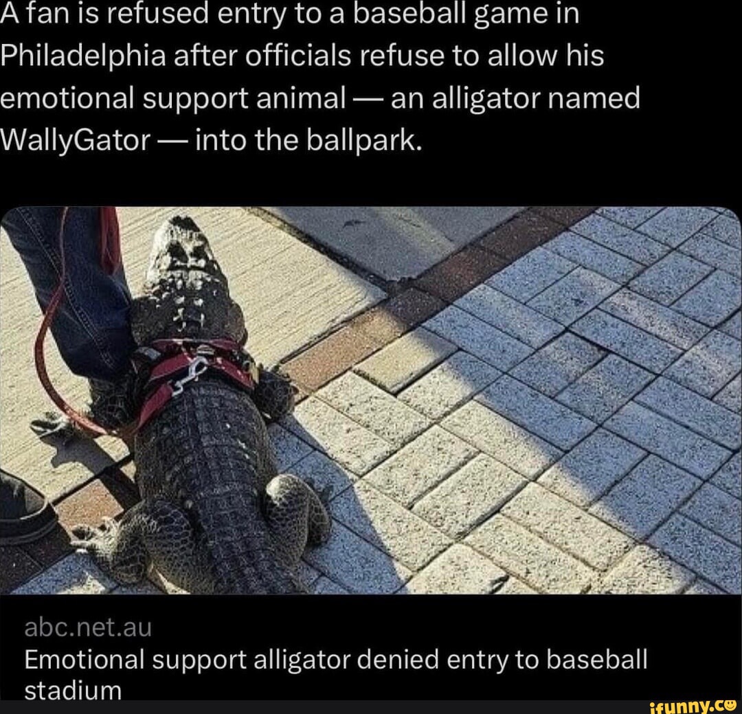 Ballpark memes. Best Collection of funny Ballpark pictures on iFunny