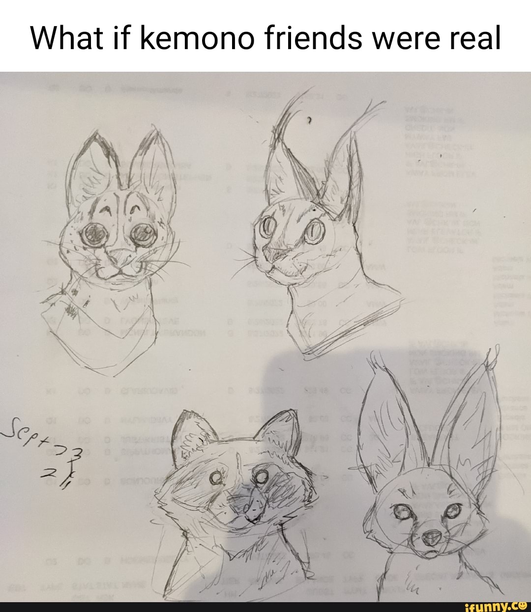 Kemono memes. Best Collection of funny Kemono pictures on iFunny