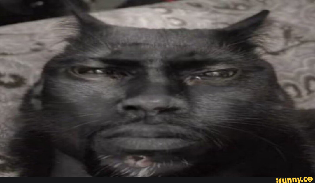 Kevin hart meme stretched - iFunny
