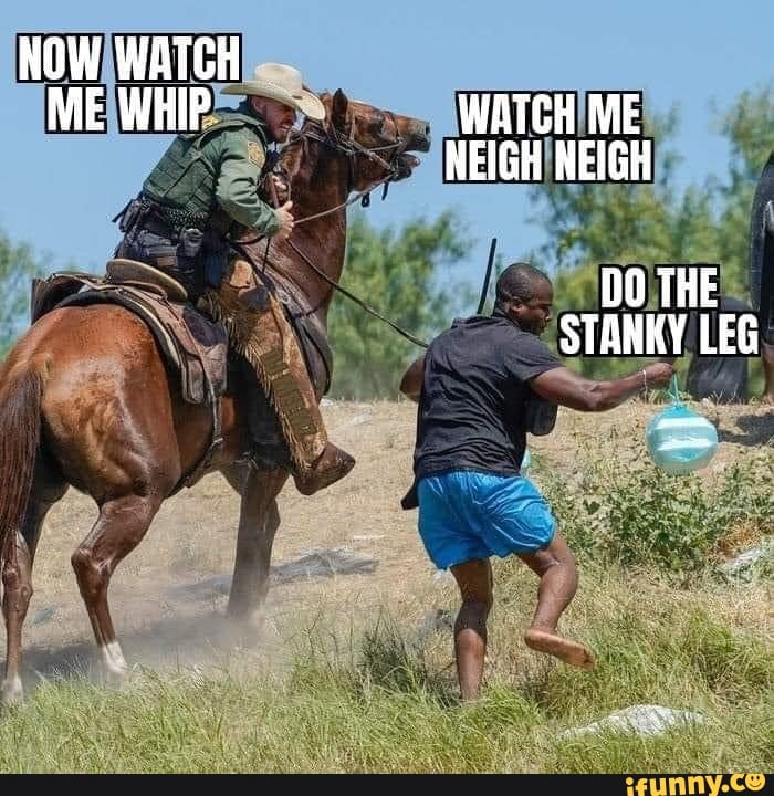 NOW WATCH ME WHIP WATCH ME NEIGH NEIGH DO THE STANKY LEG - iFunny