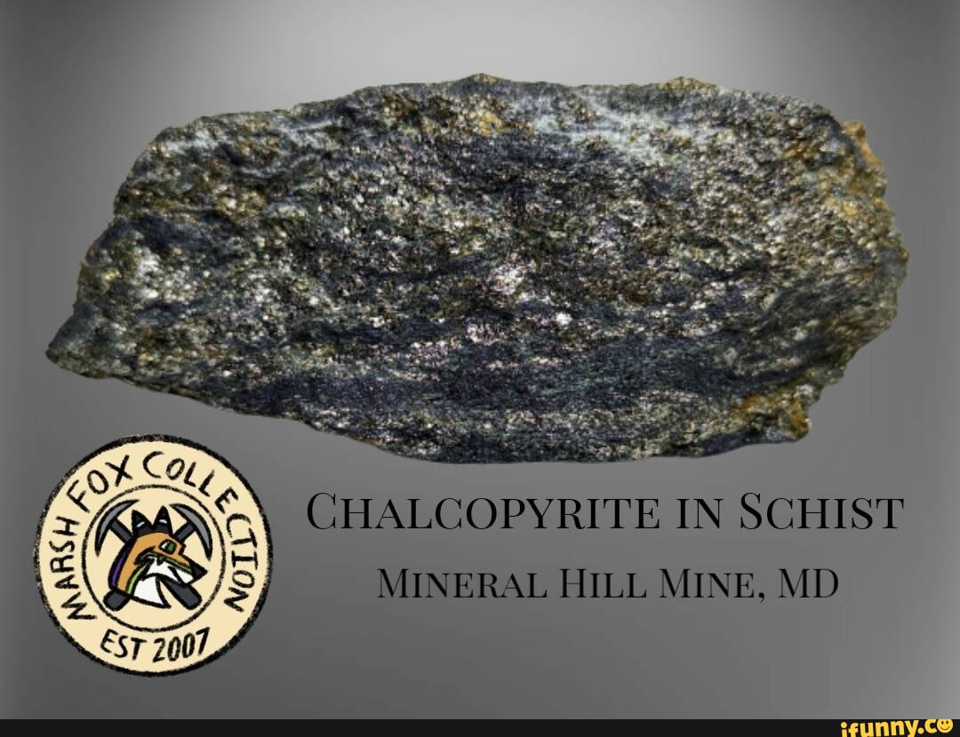 Schist memes. Best Collection of funny Schist pictures on iFunny