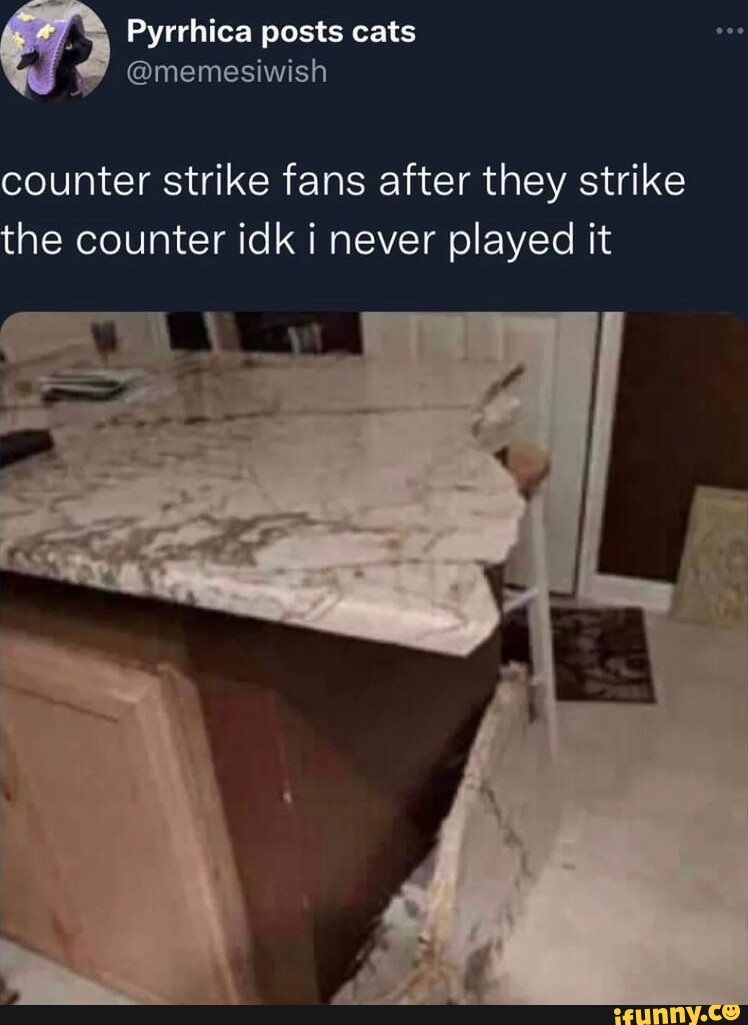 Pyrrhica posts cats @memesiwish counter strike fans after they strike ...