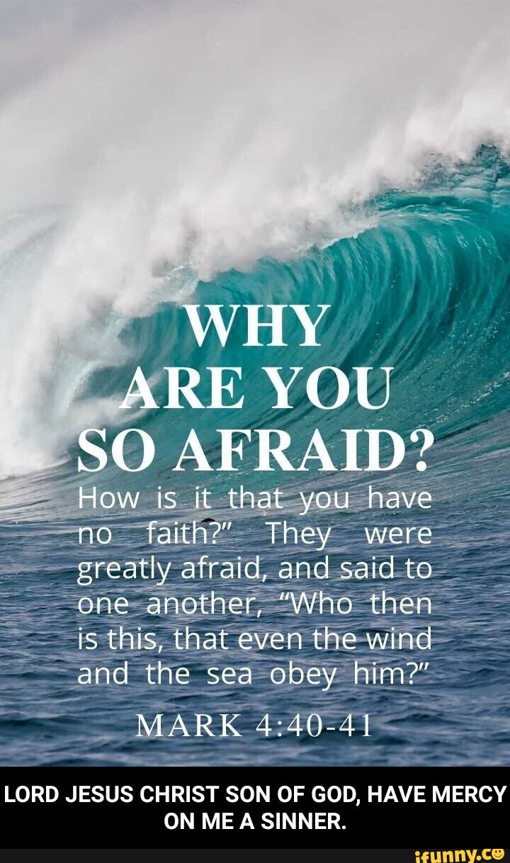 WHY ARE YOU SO AFRAID? How is it that you have no faith?" They were ...