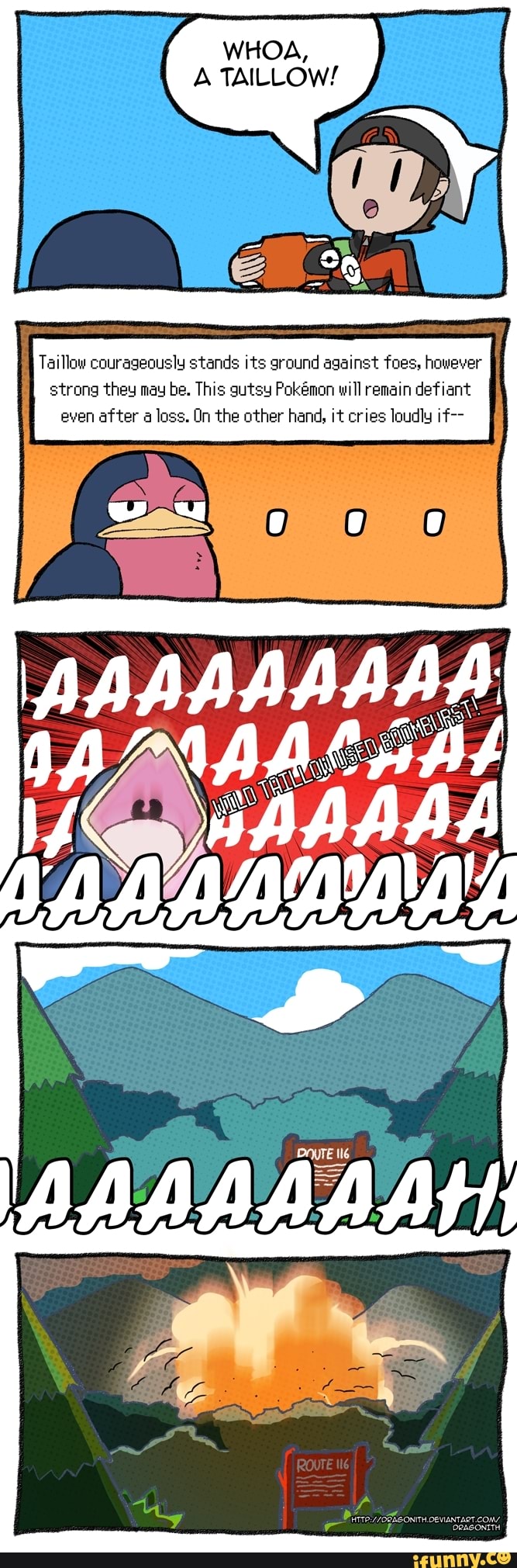 Taillow memes. Best Collection of funny Taillow pictures on iFunny