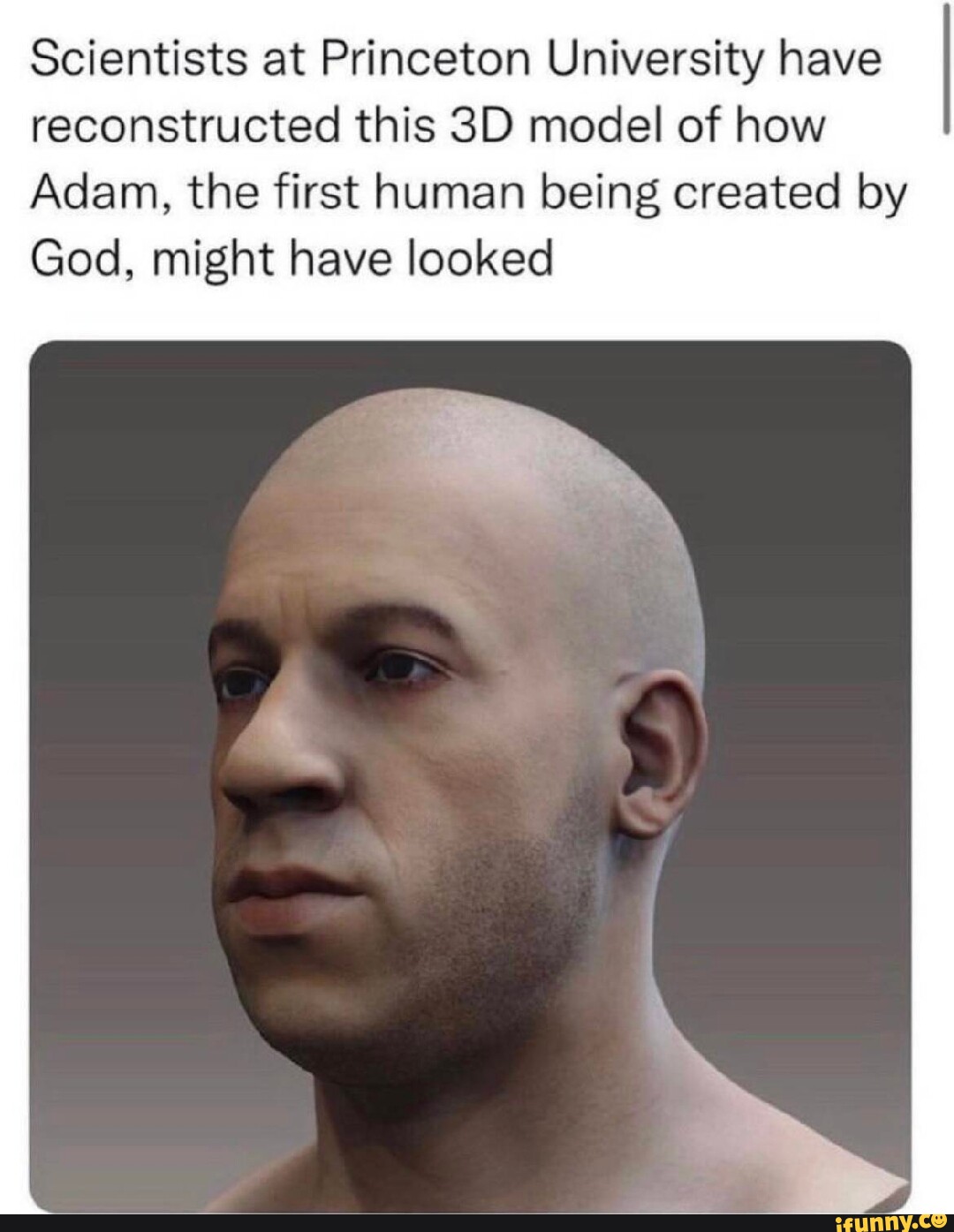 Scientists at Princeton University have reconstructed this model of how ...