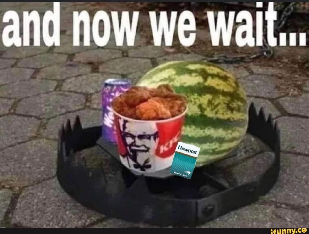 Now We Wait Meme