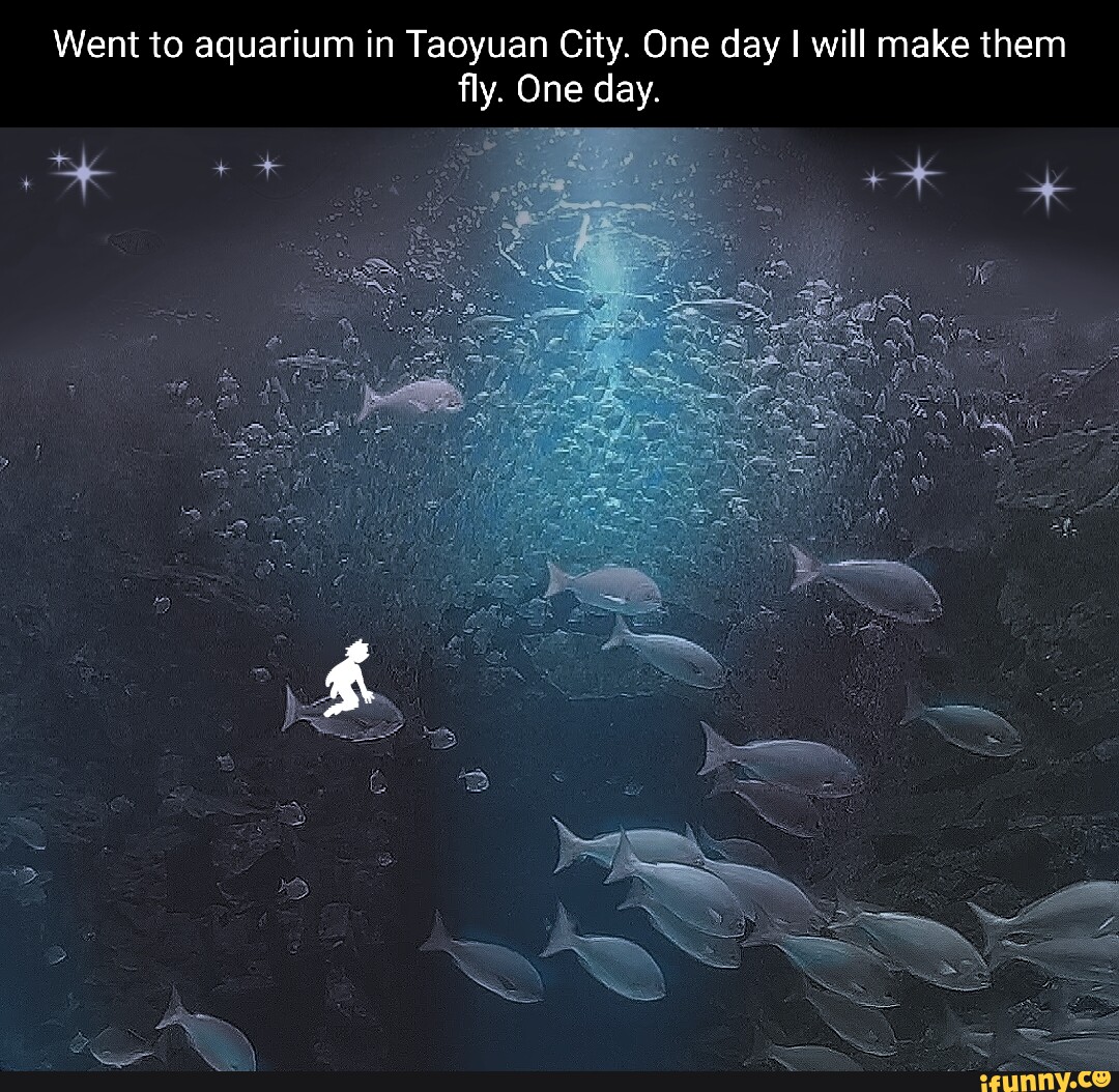 Taoyuan memes. Best Collection of funny Taoyuan pictures on iFunny