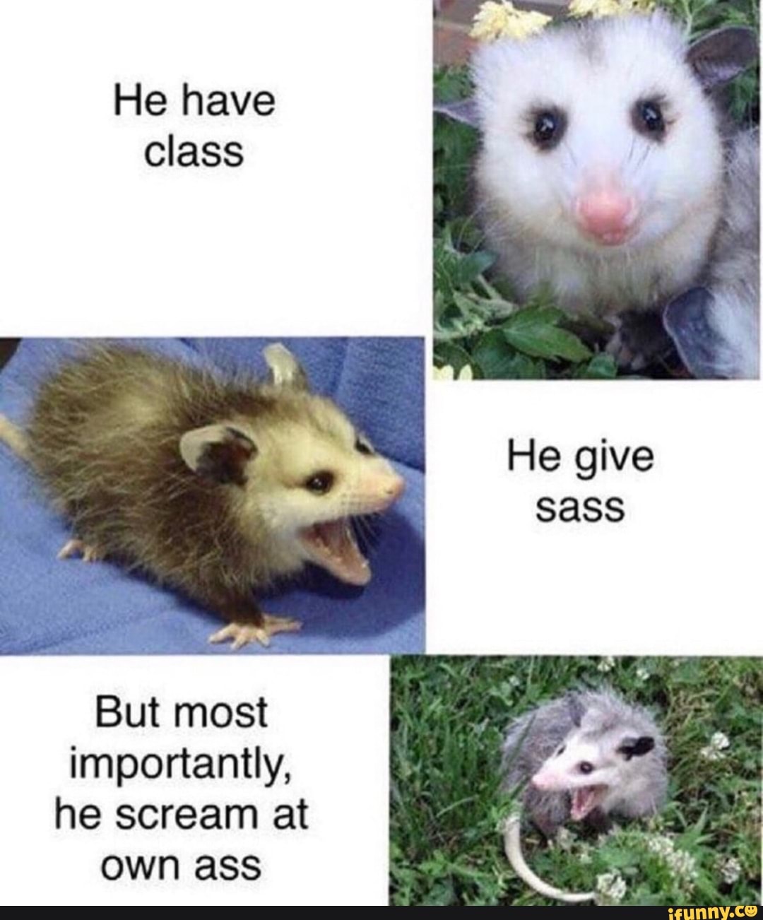 iFunny :)