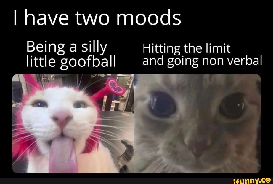 Singalong time - iFunny