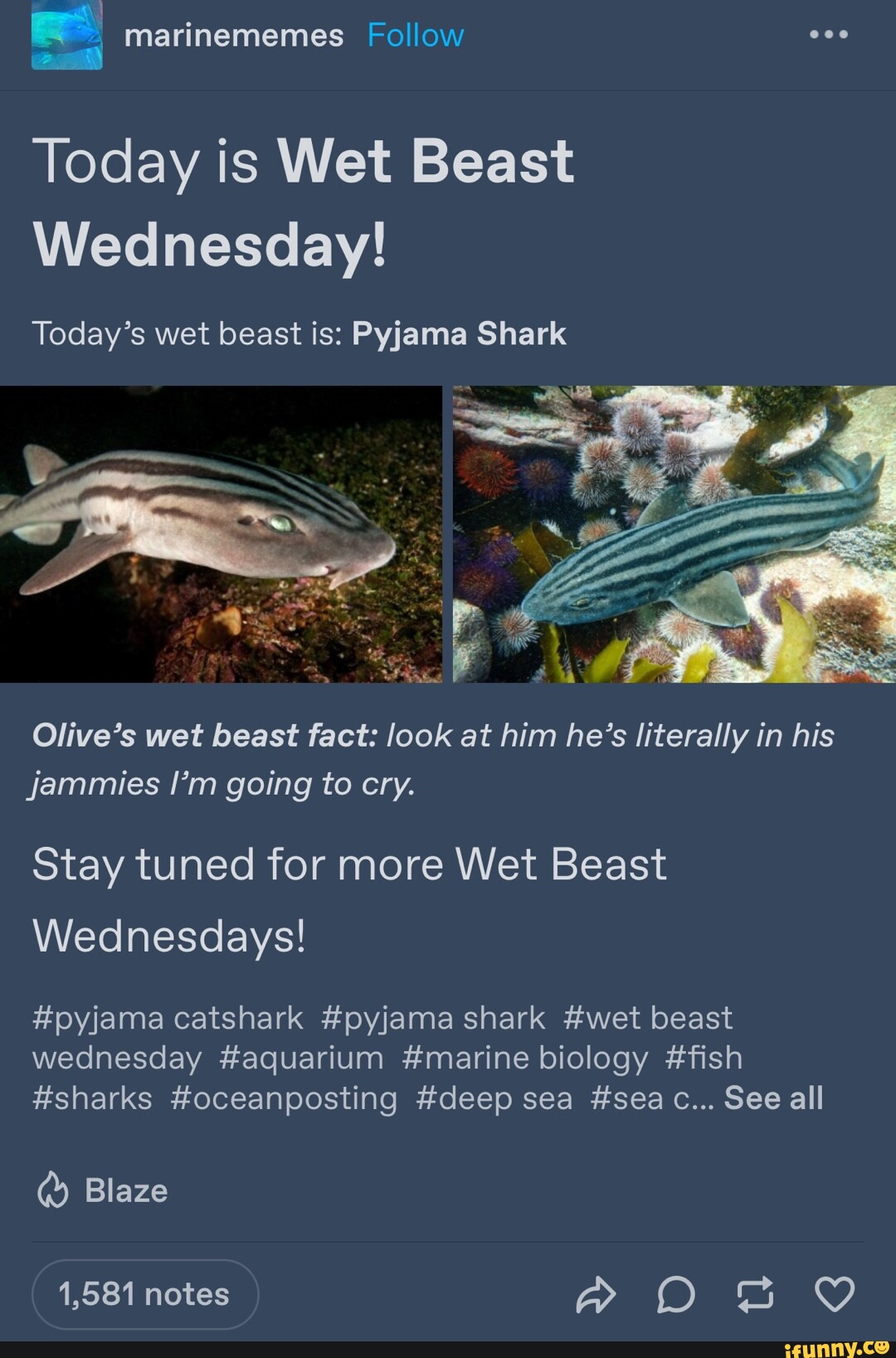 Lacked hart ondaaragy yan hear - iFunny