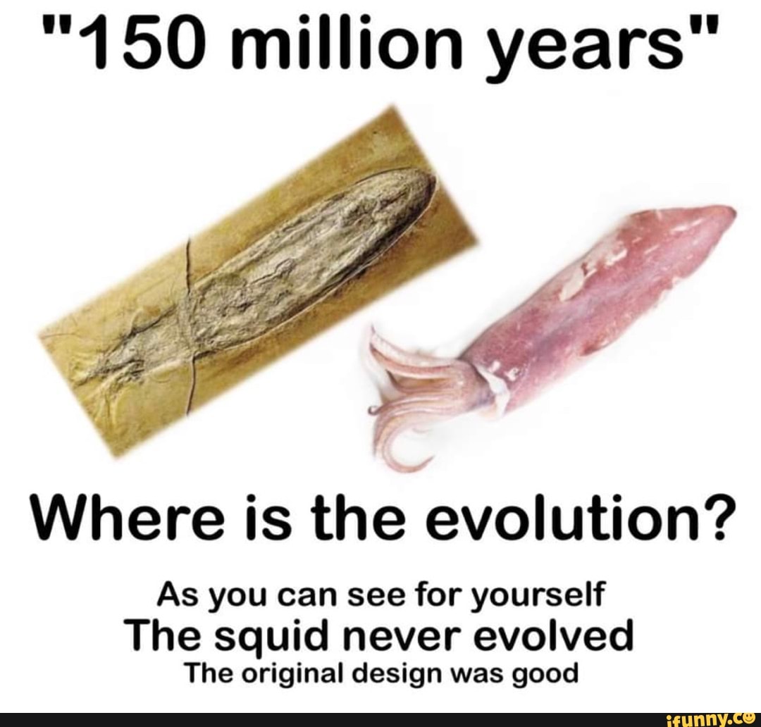 "150 million years" Where is the evolution? As you can see for yourself The squid never evolved ...