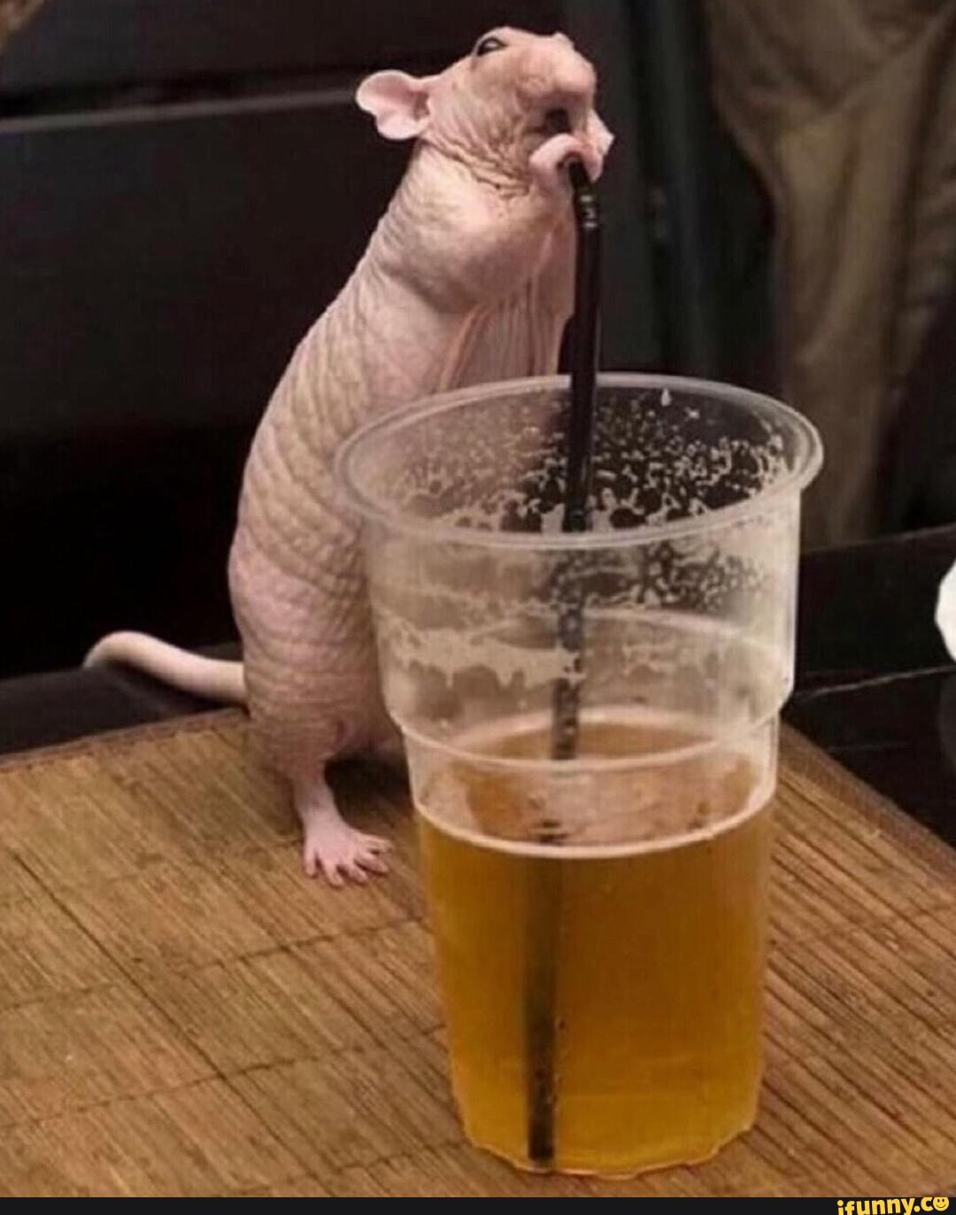 Cursed_rat memes. Best Collection of funny Cursed_rat pictures on iFunny