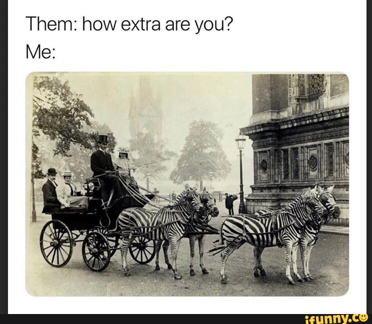 Them: how extra are you? Me: - iFunny
