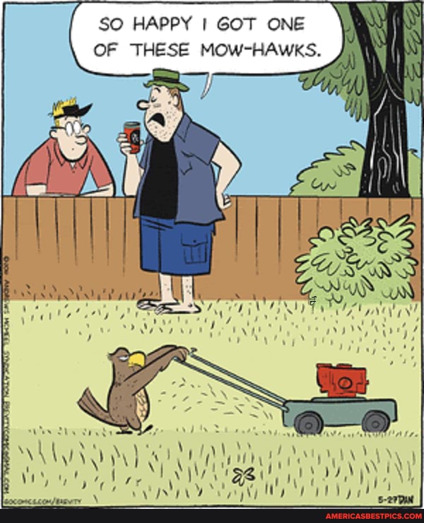 SO HAPPY I GOT ONE OF THESE MOW-HAWKS. - America’s best pics and videos