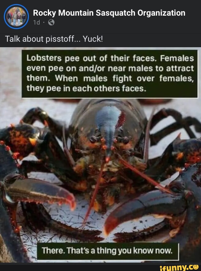 SciFi & Mythical memes memes. The best memes on iFunny