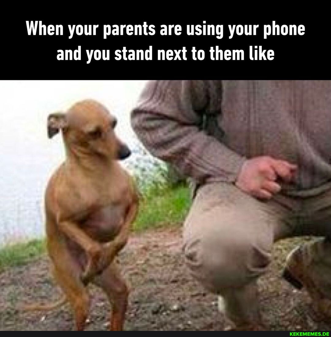 Please don't swipe 😰 - #parents #phone #sweating #memes #9gag - When ...