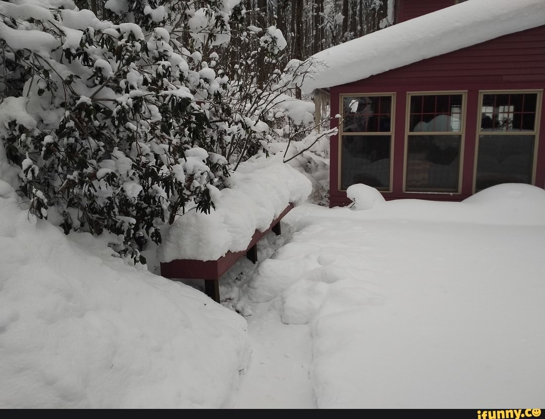 Snowpocalypse memes. Best Collection of funny Snowpocalypse pictures on ...