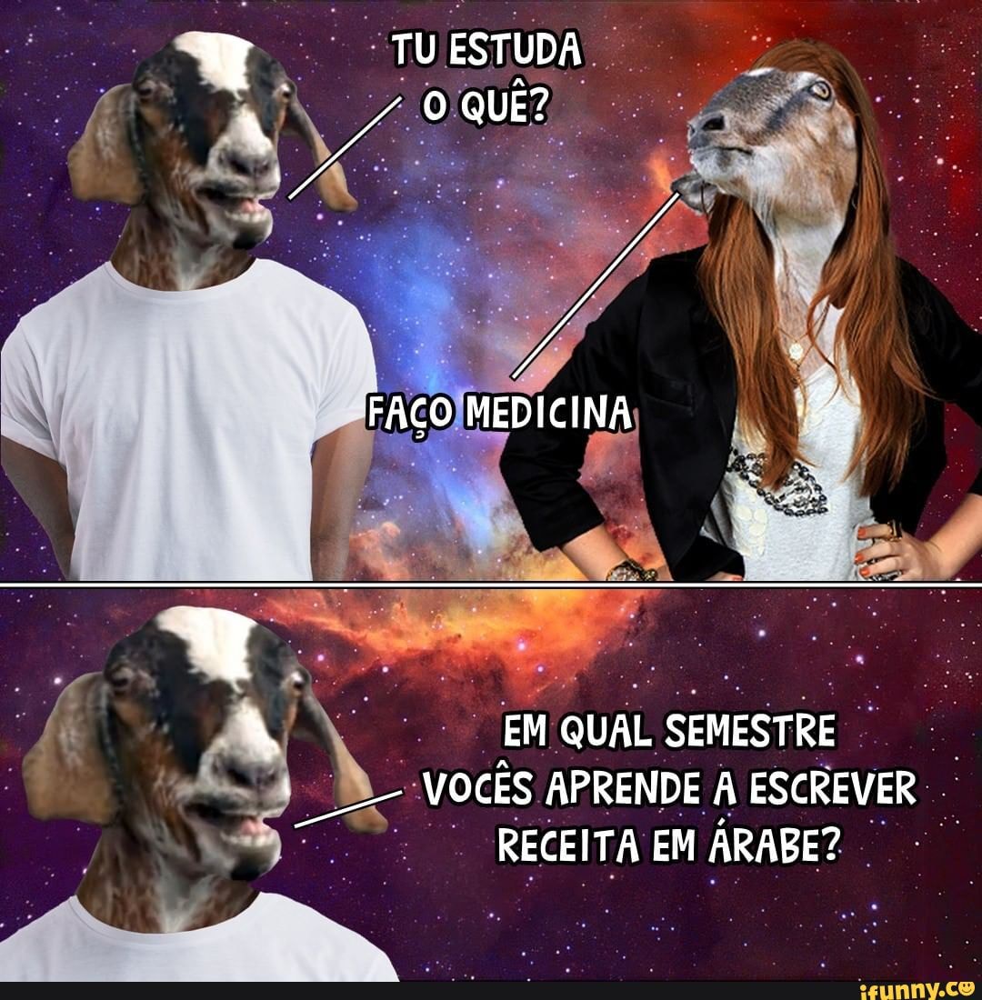Aprende memes. Best Collection of funny Aprende pictures on iFunny Brazil