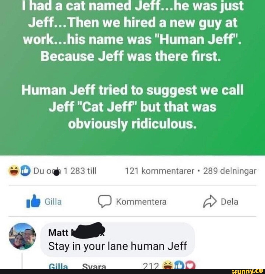 Had a cat named he was just Jeff... Then we hired a new guy at work ...