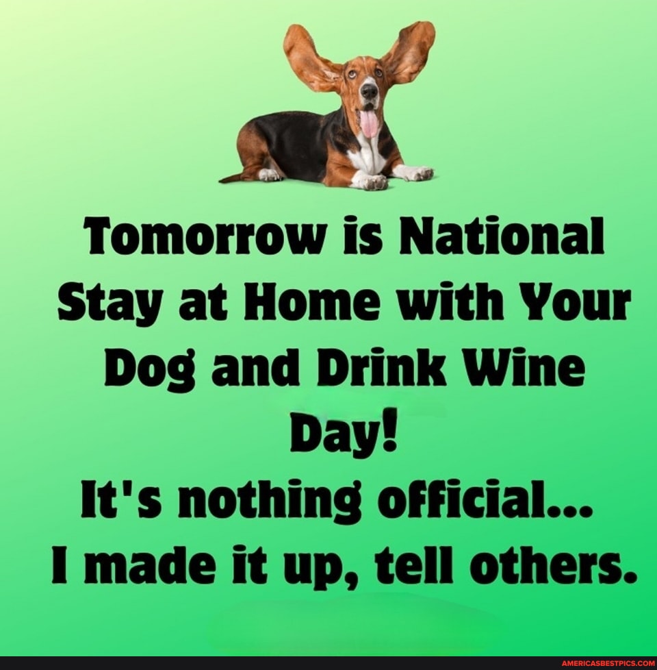 Home memes memes. The best memes on America’s best pics and videos