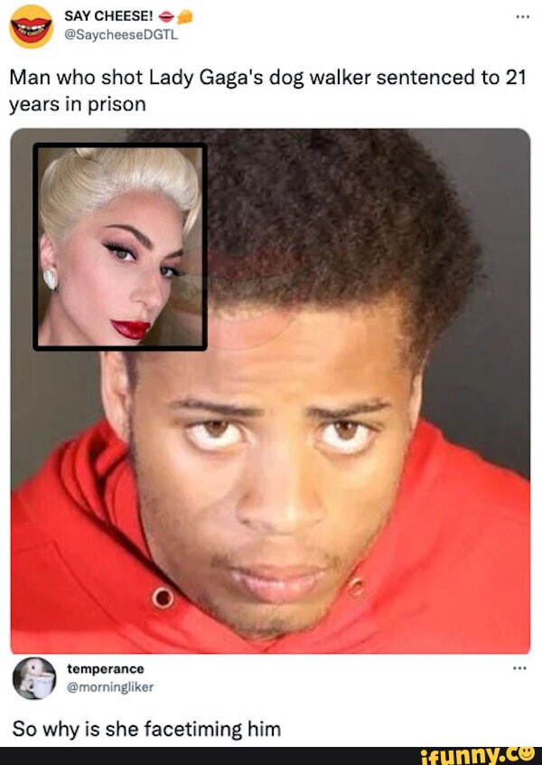 SAY CHEESE' DSaycheeseDGTL Man who shot Lady Gaga's dog walker ...