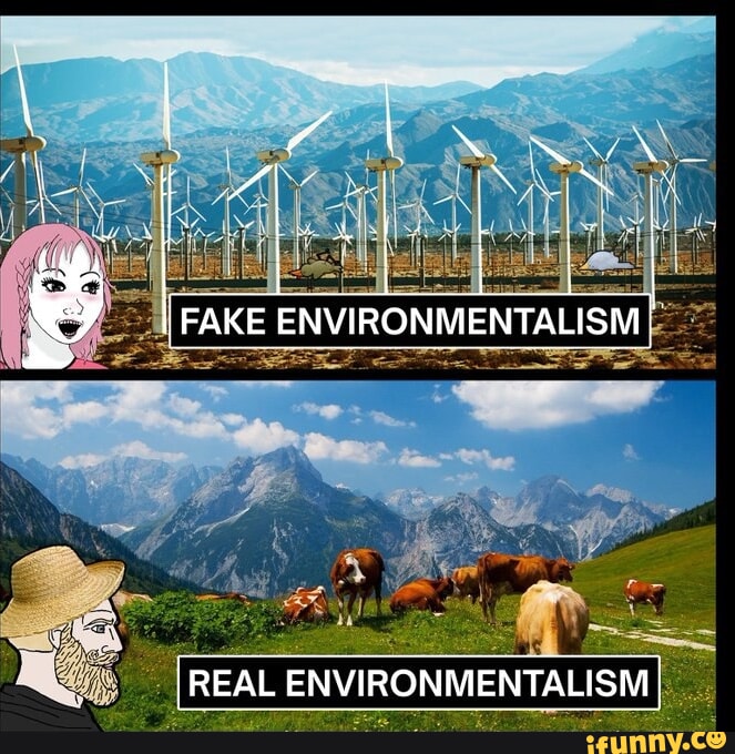 I REAL ENVIRONMENTALISM - iFunny