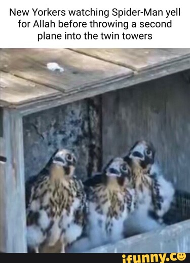 New Yorkers watching Spider-Man yell for Allah before throwing a second ...