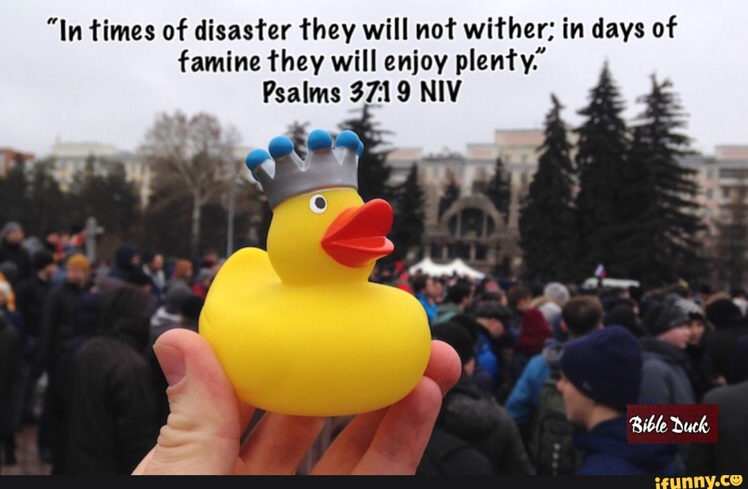 "In times of disaster they will not wither: in days of famine they will ...