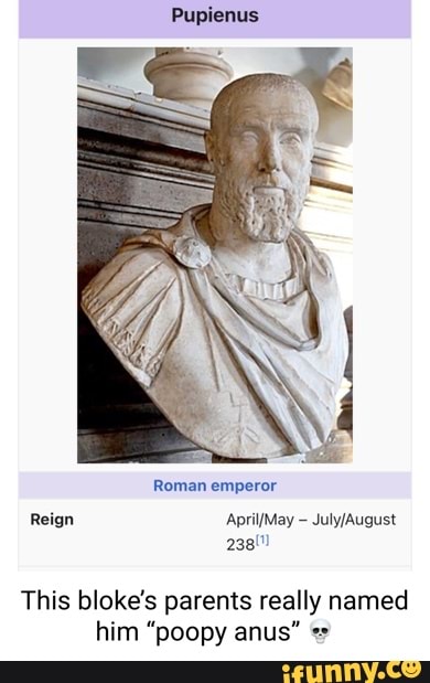 Pupienus Roman emperor Reign 238!" This bloke's parents really named ...