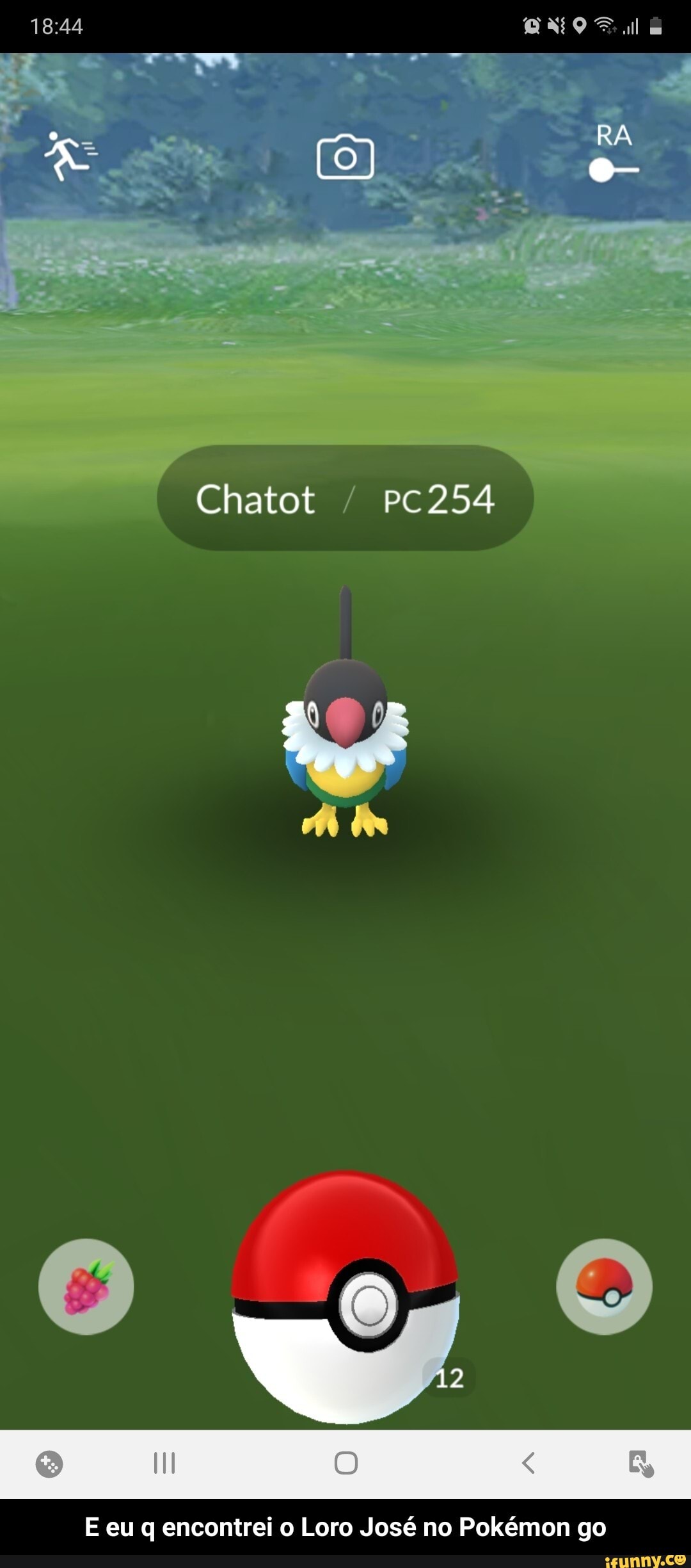 Shiny Chatot Pokemon