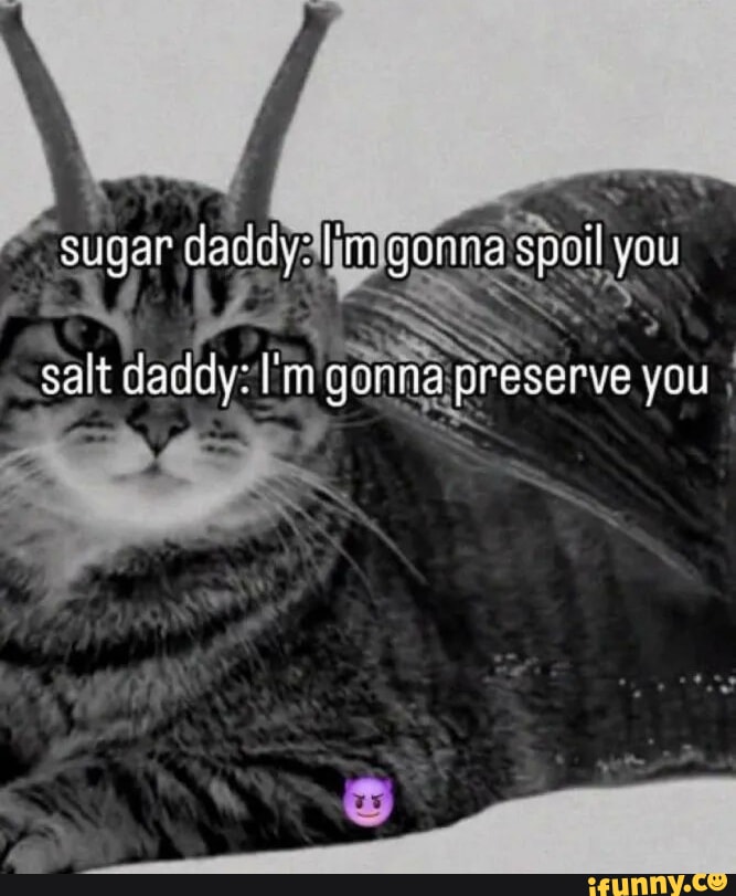 Shigar daddy: gania spail you salt daddy: I'm gonna preserve you - iFunny