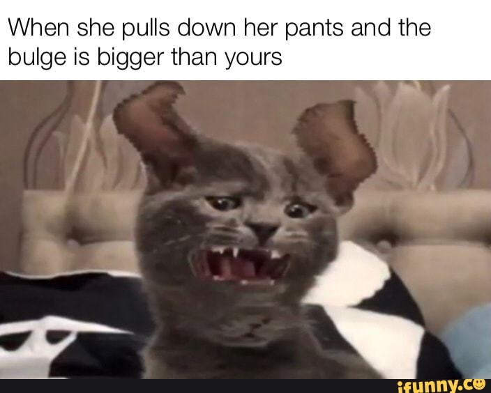 When She Pulls Down Her Pants And The Bulge Is Bigger Than Yours Ifunny